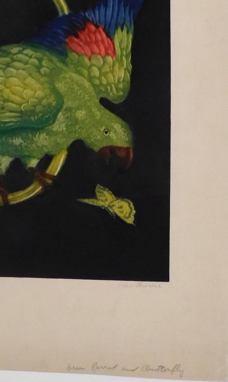 Leo Browne Color Etching, Pencil Signed - Green Parrot and Butterfly ...