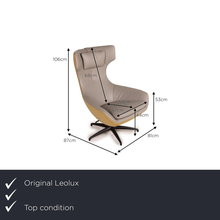 Leolux Caruzzo Plus leather armchair gray incl. Stool at 1stDibs ...