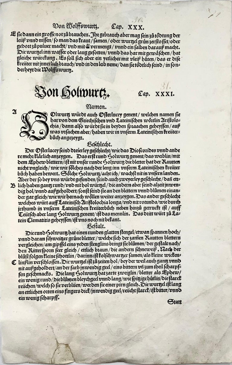 Leonhart Fuchs, Birthwood, Aristolochia, Folio Woodcuts 1st Edn For ...