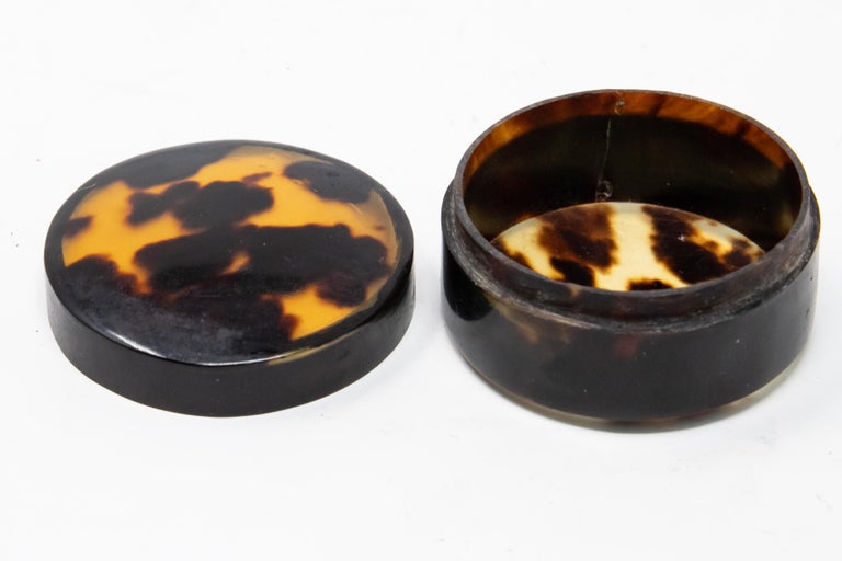 Leopard Print Pill Box For Sale at 1stDibs