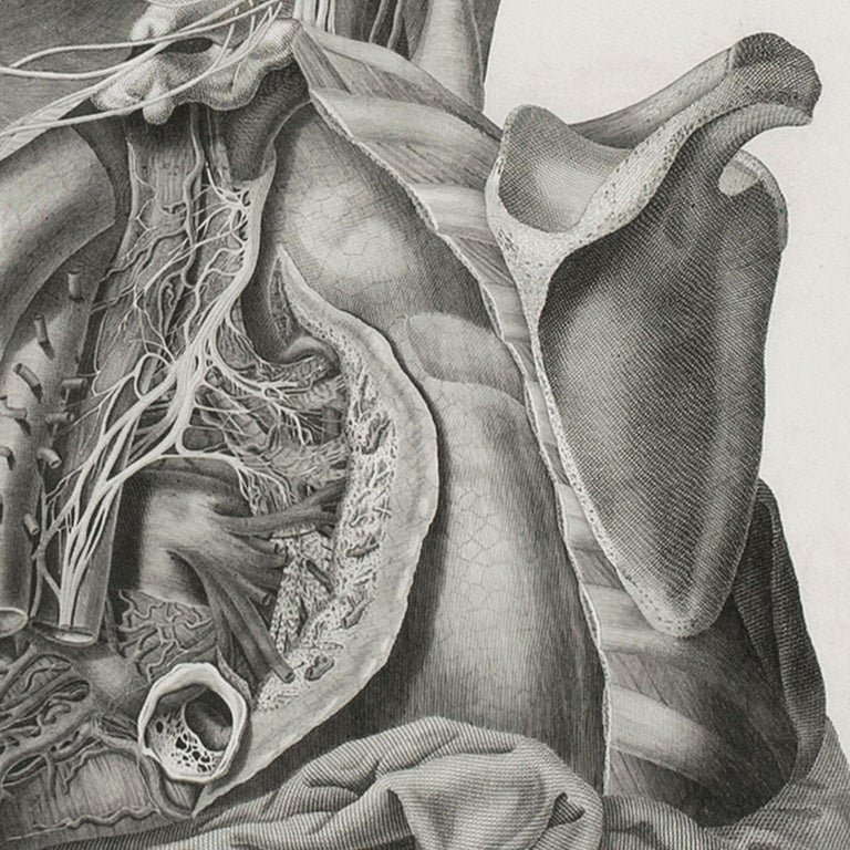 Leopoldo Marco Antonio Caldani - Leopoldo Marco Antonio Caldani ...