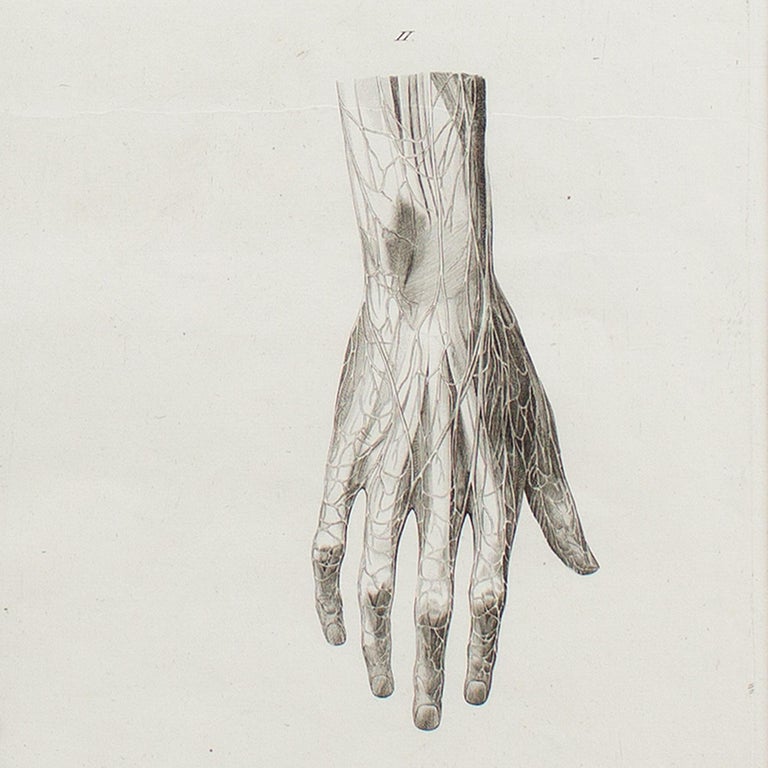 Leopoldo Marco Antonio Caldani - Leopoldo Marco Antonio Caldani ...