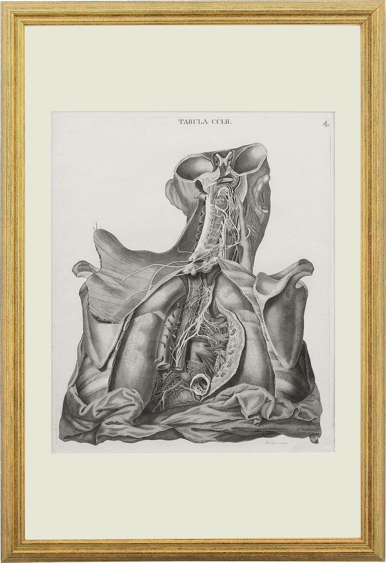 Leopoldo Marco Antonio Caldani - Leopoldo Marco Antonio Caldani ...