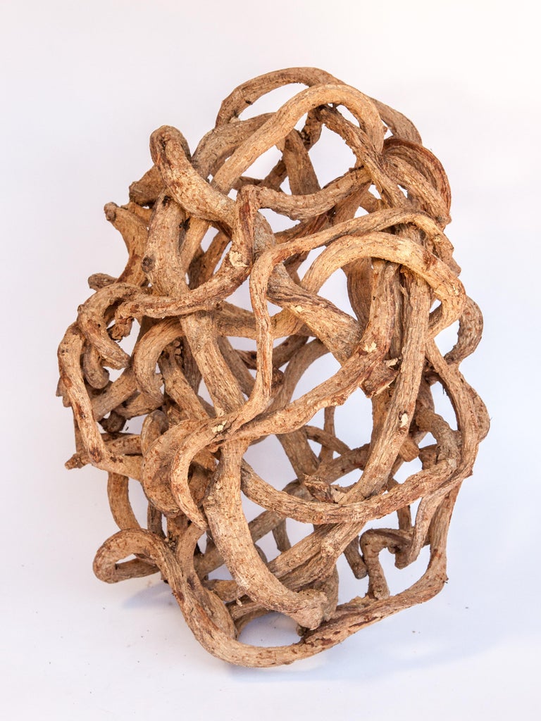 Liana Vine Organic Sculpture in Ovoid Shape, from Thailand at 1stDibs