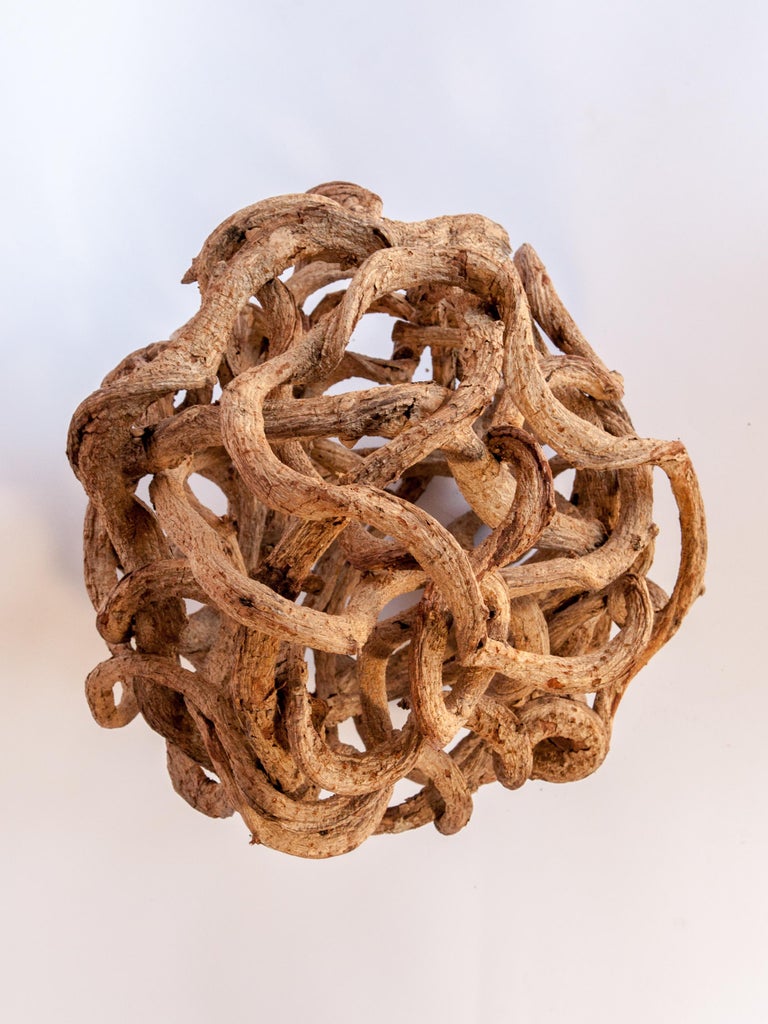 Liana Vine Organic Sculpture in Ovoid Shape, from Thailand at 1stDibs