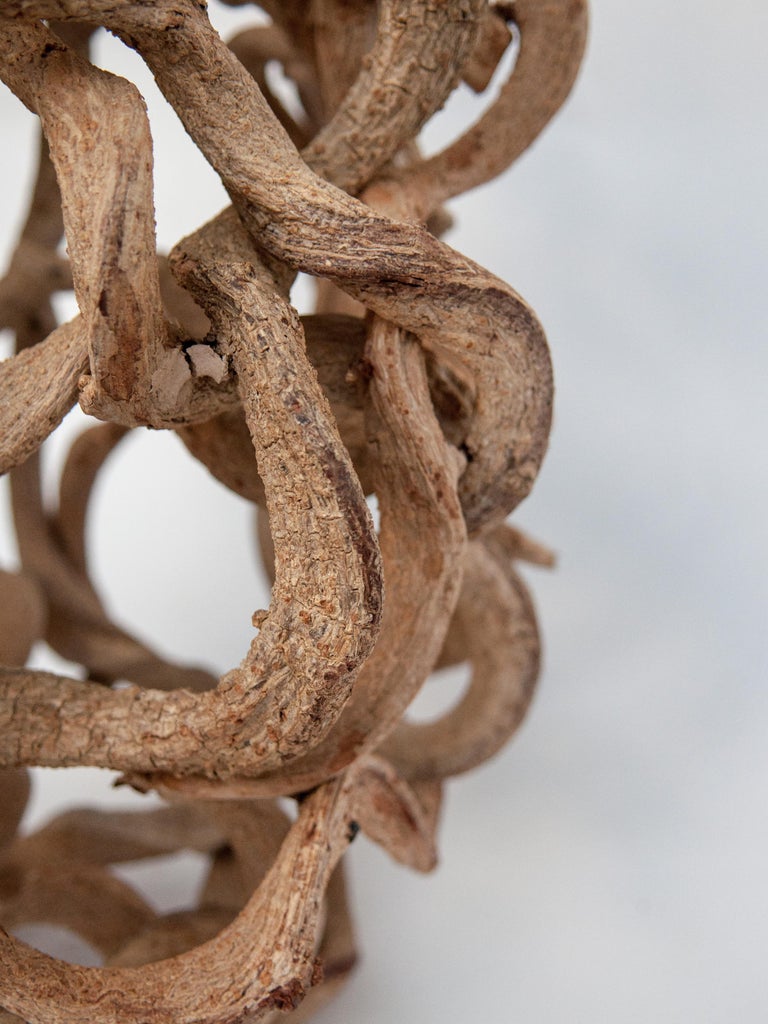 Liana Vine Organic Sculpture in Ovoid Shape, from Thailand at 1stDibs