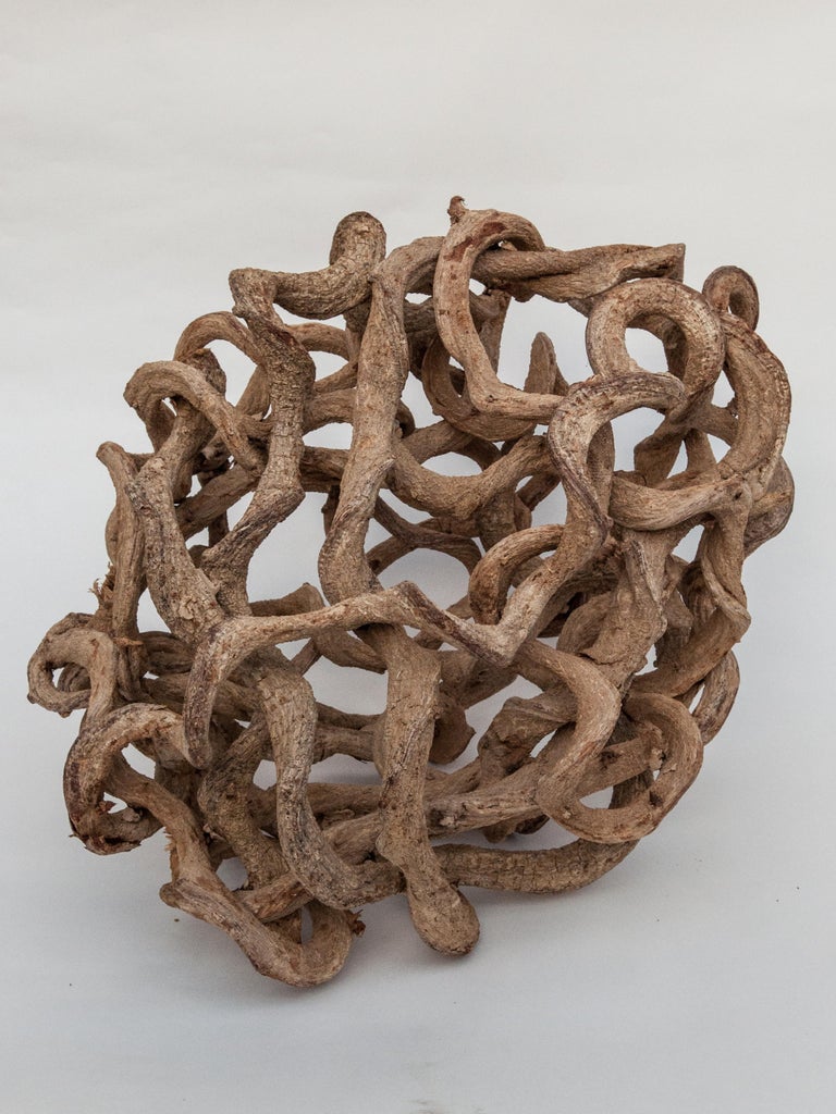 Liana Vine Organic Sculpture in Ovoid Shape, from Thailand at 1stDibs