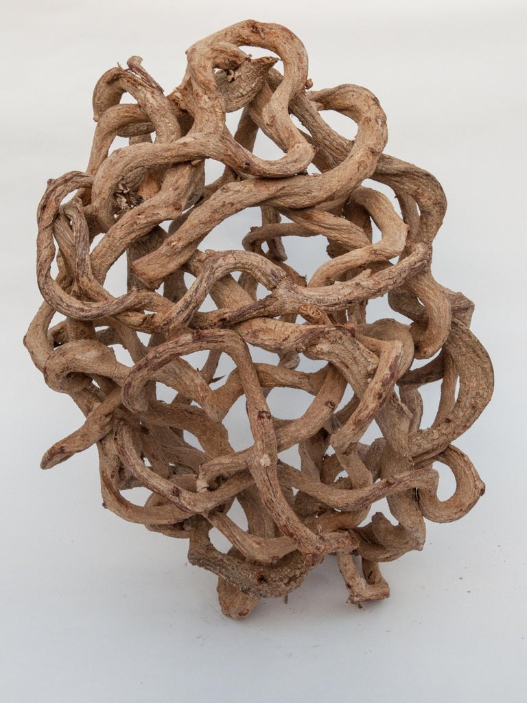 Liana Vine Organic Sculpture in Ovoid Shape, from Thailand at 1stDibs