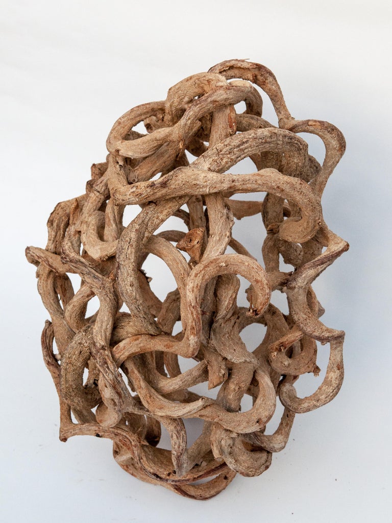 Liana Vine Organic Sculpture in Ovoid Shape, from Thailand at 1stDibs