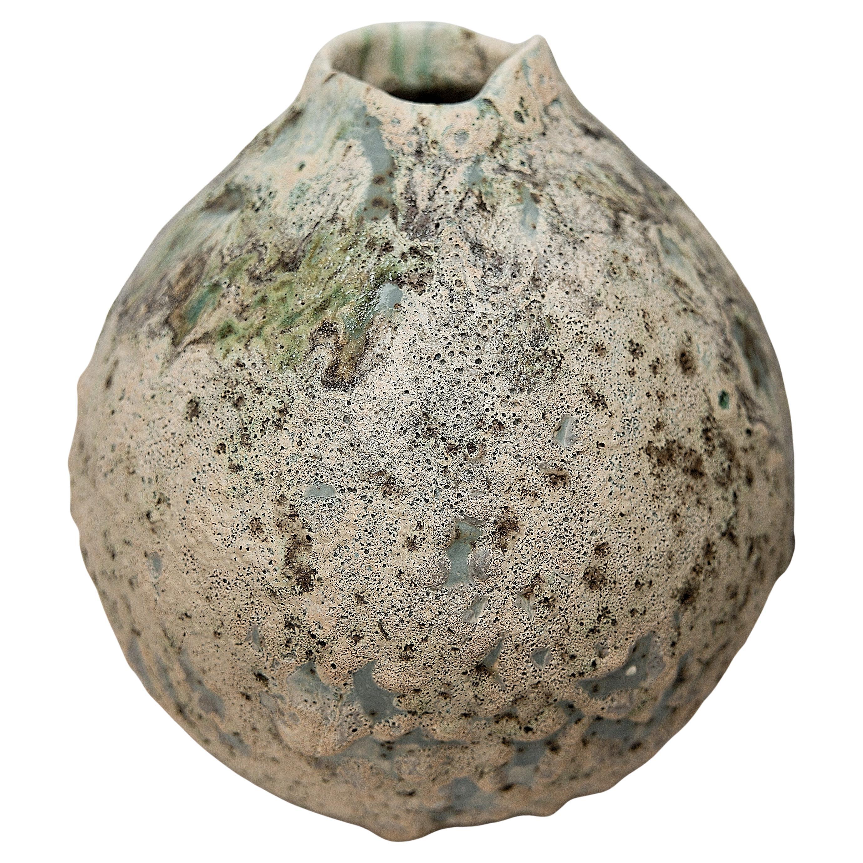 Lichen Vase with Autumn Textured Glaze For Sale at 1stDibs