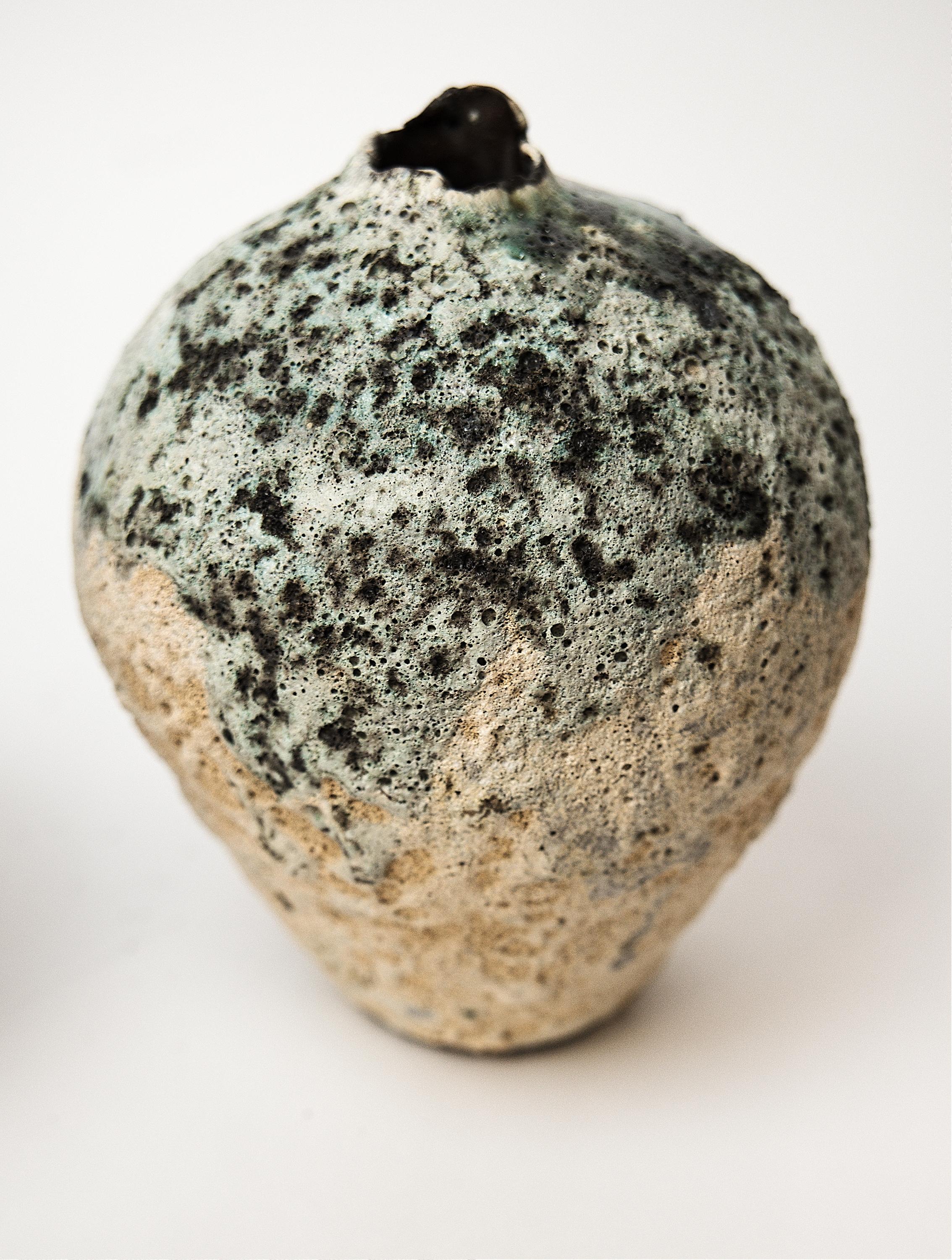 Lichen Vase with Autumn Textured Glaze II For Sale at 1stDibs
