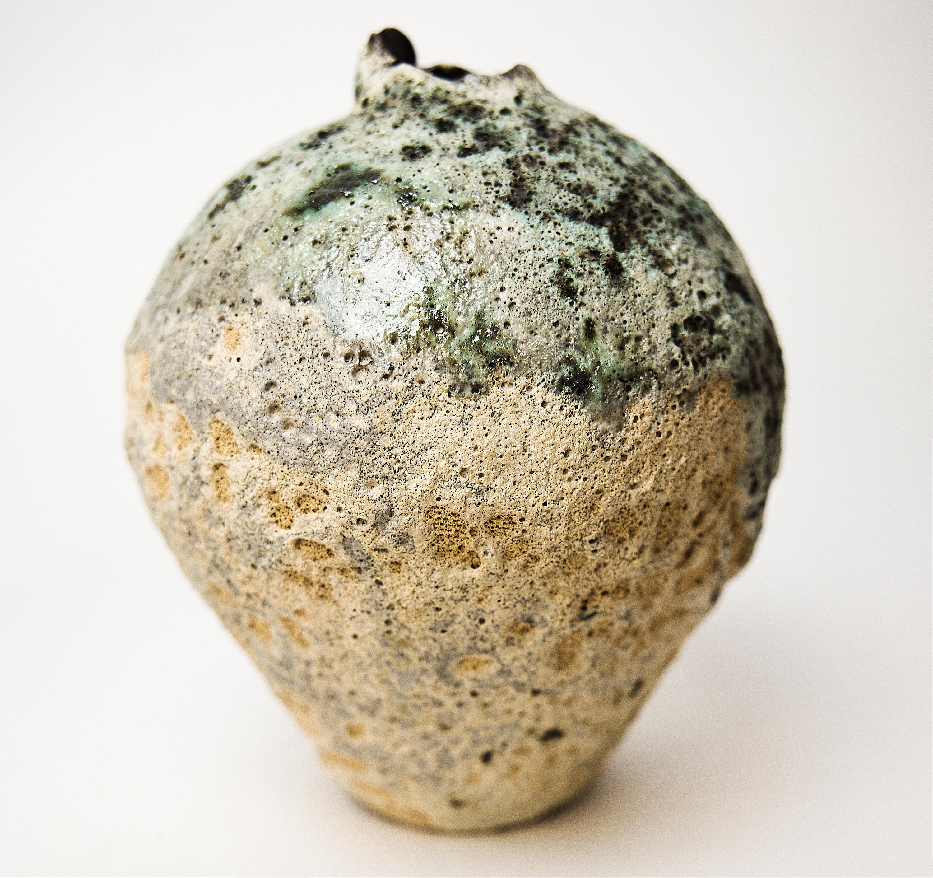 Lichen Vase with Autumn Textured Glaze II For Sale at 1stDibs