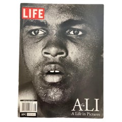 Mosaik - North Hollywood, CA 91605 - 1stDibs