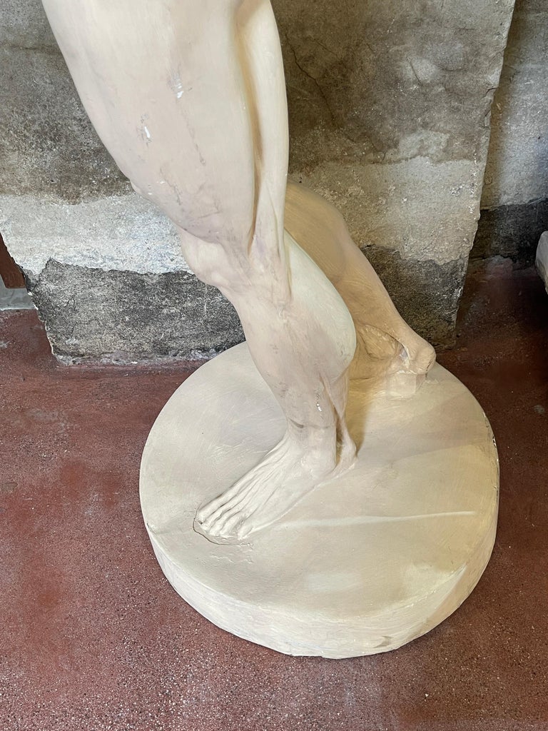 Life Size Anatomical Study of Flayed Male L'ecorche after Jean-Antoine ...