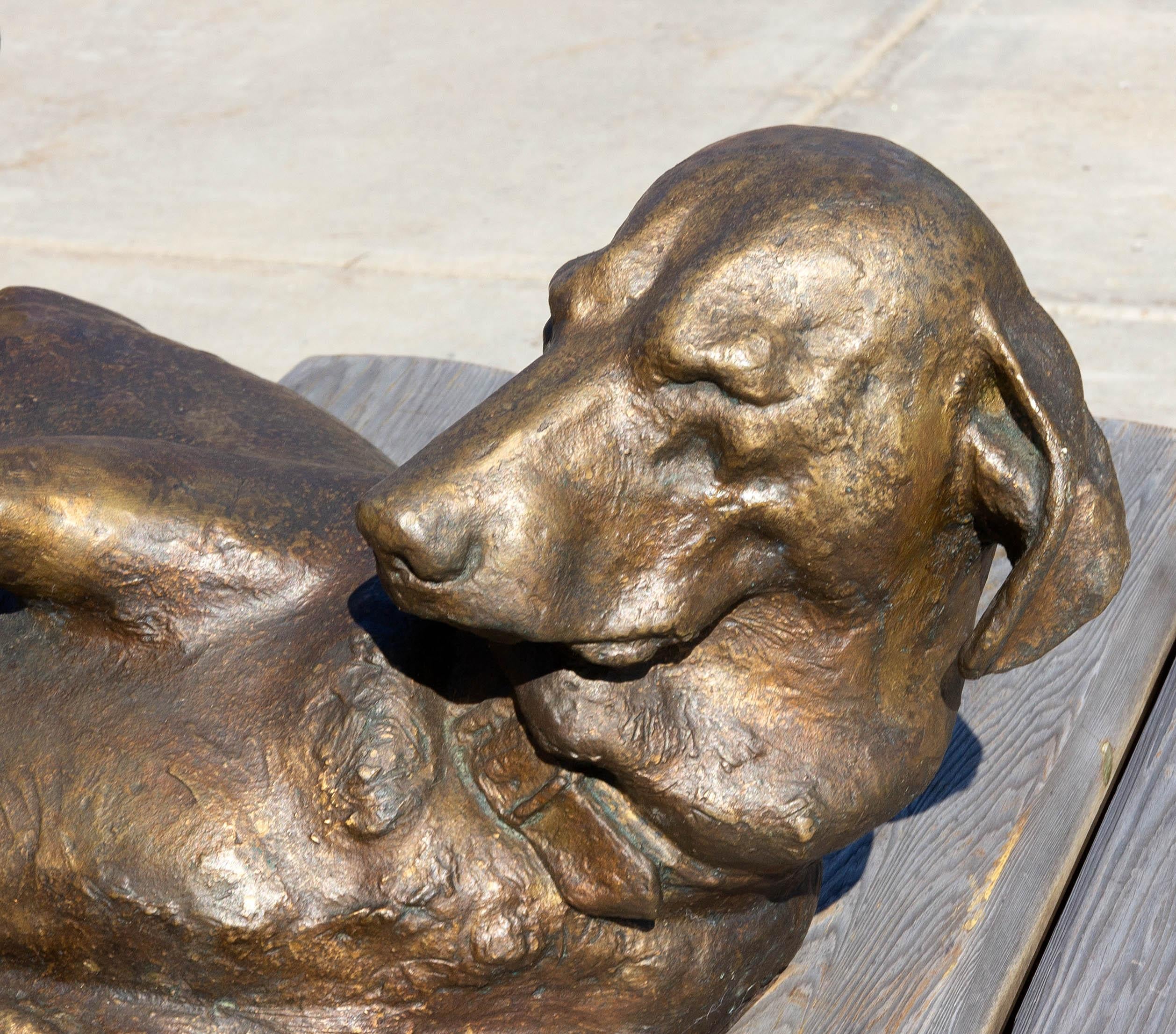 Life-Size Bronze Dog For Sale at 1stDibs