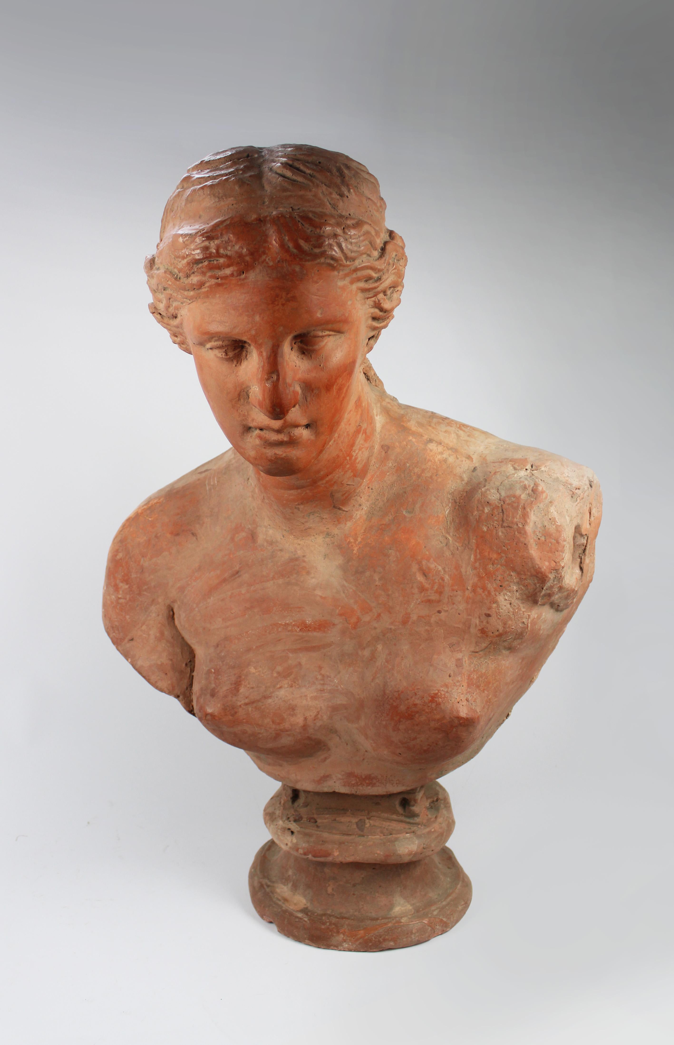 Life size Terracotta bust of the Venus Of Milo 19th century Italy For ...