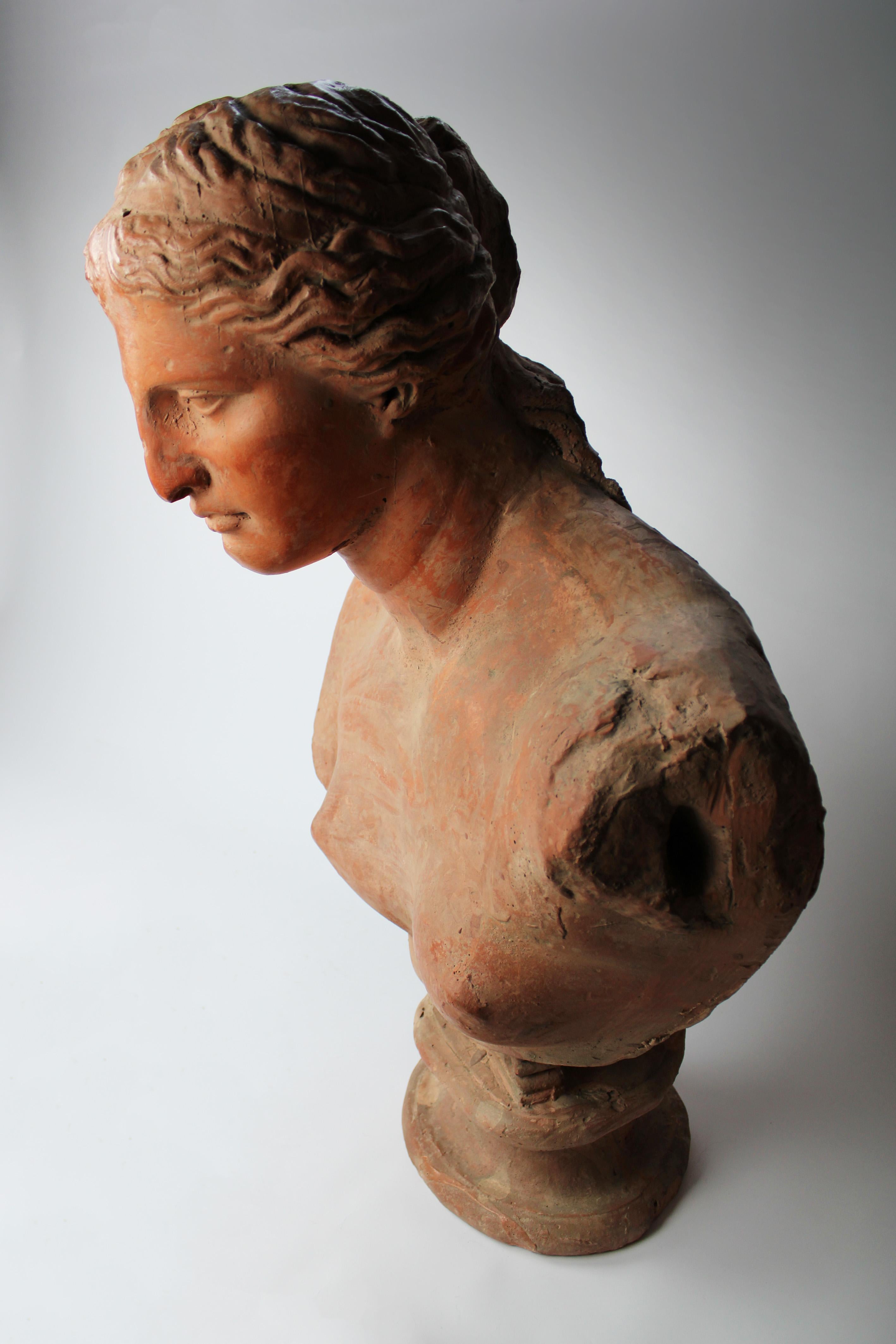 Life size Terracotta bust of the Venus Of Milo 19th century Italy For ...