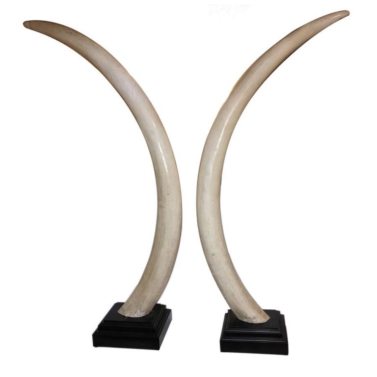 Life-Size Vintage Faux Elephant Tusks For Sale at 1stDibs