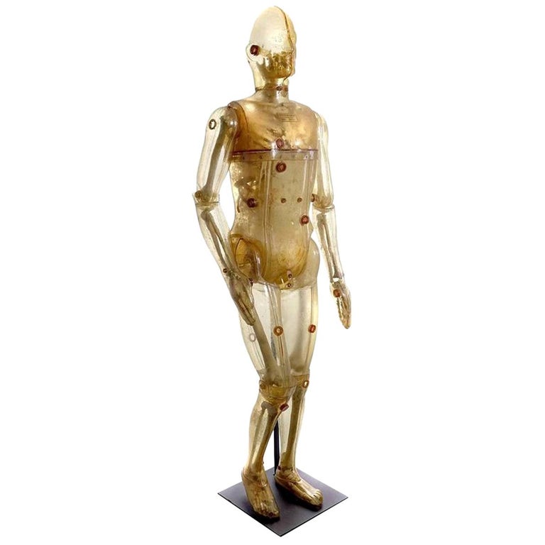 Lifesize Articulating X-Ray Dummy, Cold War Icon at 1stDibs
