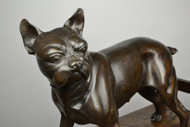 Life-Size Bronze French Bulldog, Boston Terrier Statue at 1stDibs ...