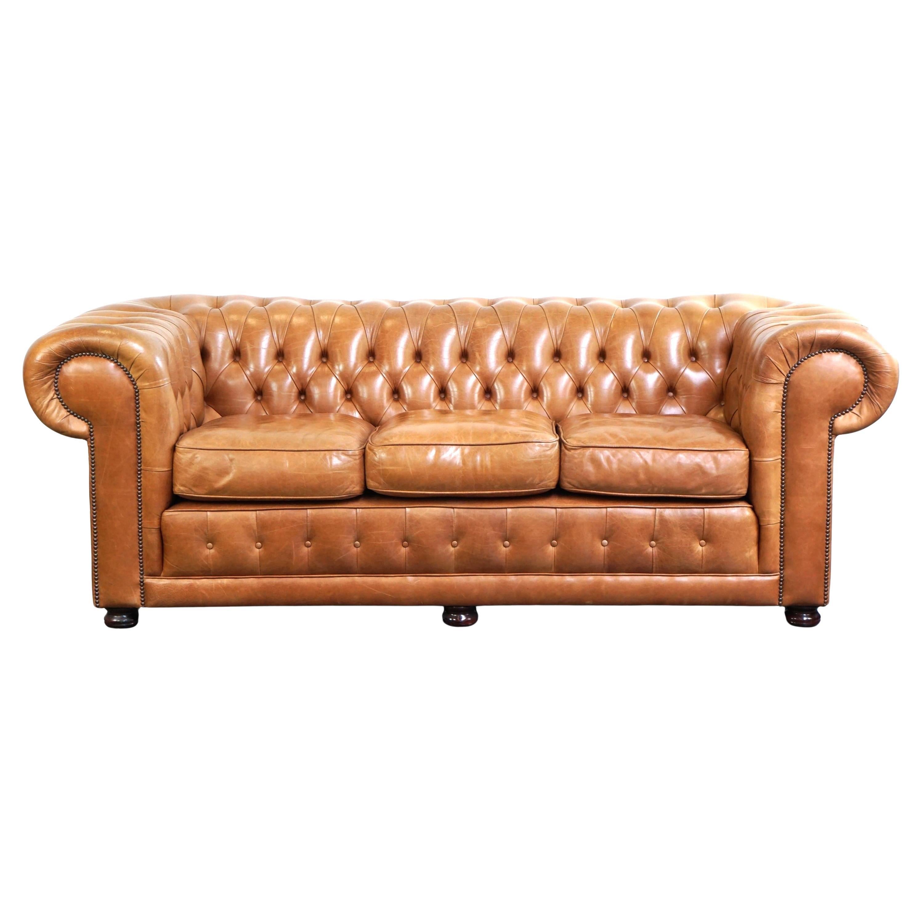 Hellbraunes cremefarbenes Rindsleder English 2.5 seater Chesterfield