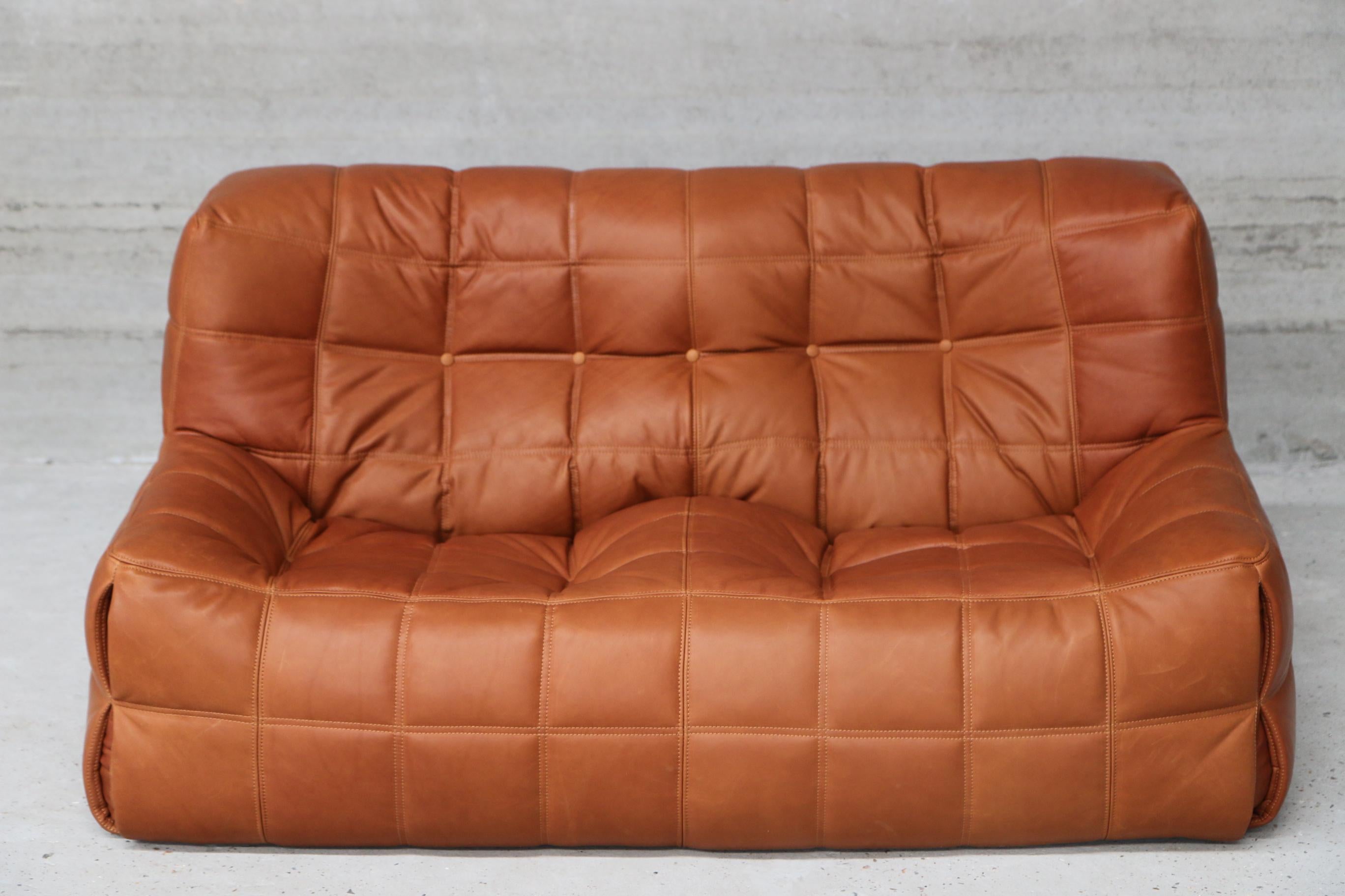 Ligne Roset Cognac Leather Kashima Sofa Set Designed by Michel Ducaroy ...