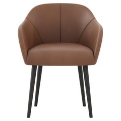 Contemporary Natural Lacquered Root Chair Crafted from Camphor Wood For ...