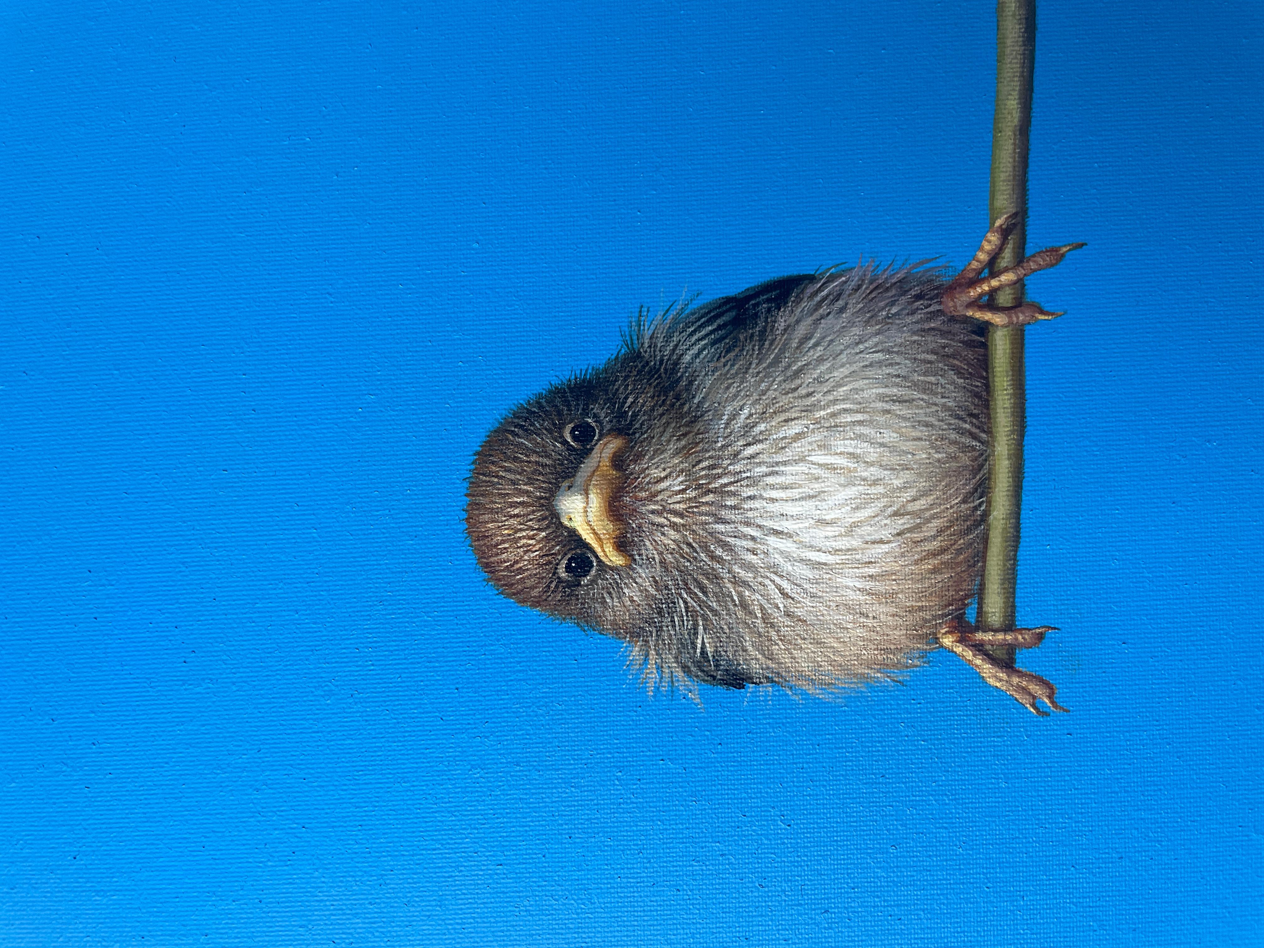 Lilia Mazurkevich - Benjamin - bird wildlife portraiture Contemporary ...