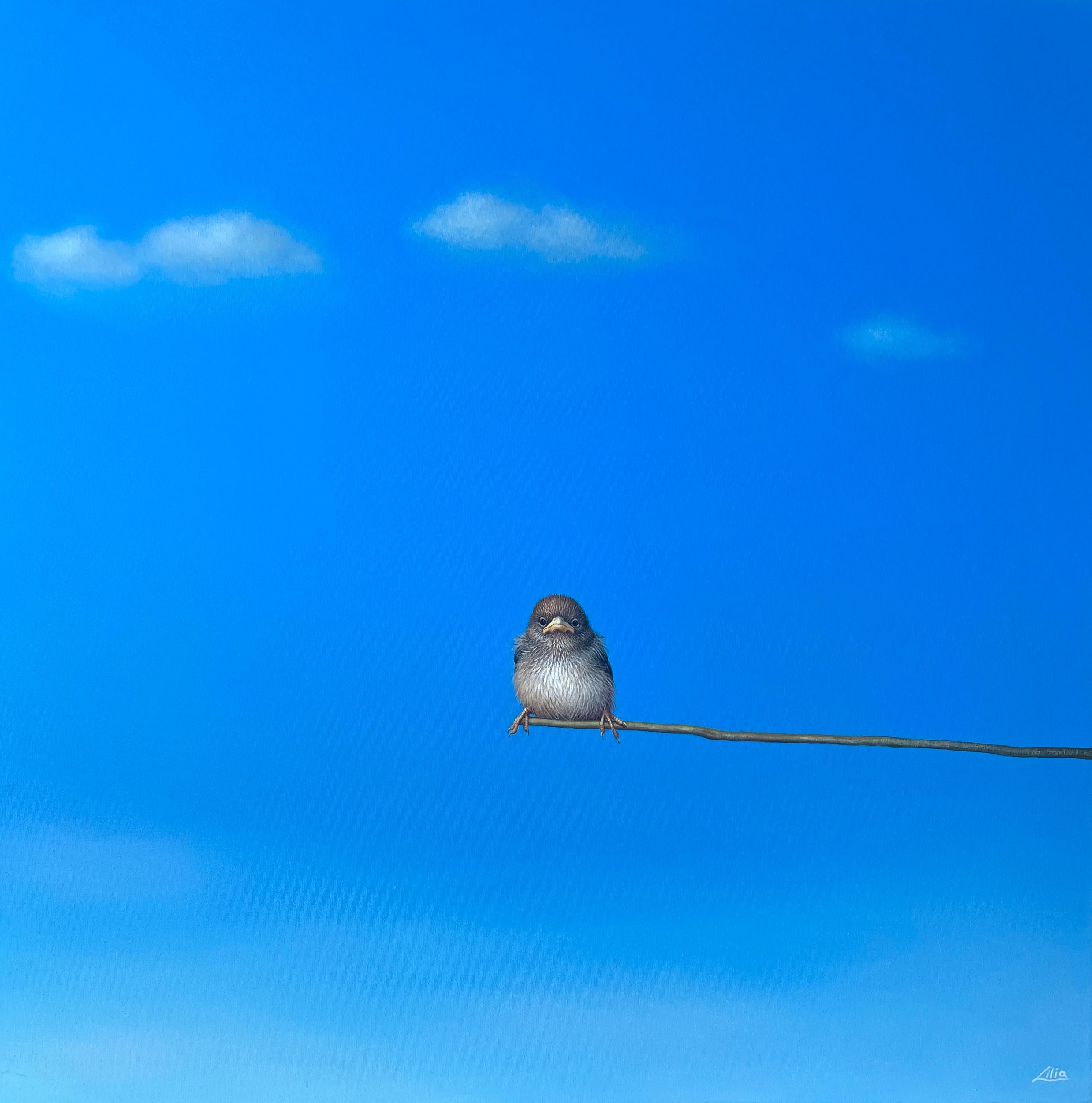 Lilia Mazurkevich - Benjamin - bird wildlife portraiture Contemporary ...