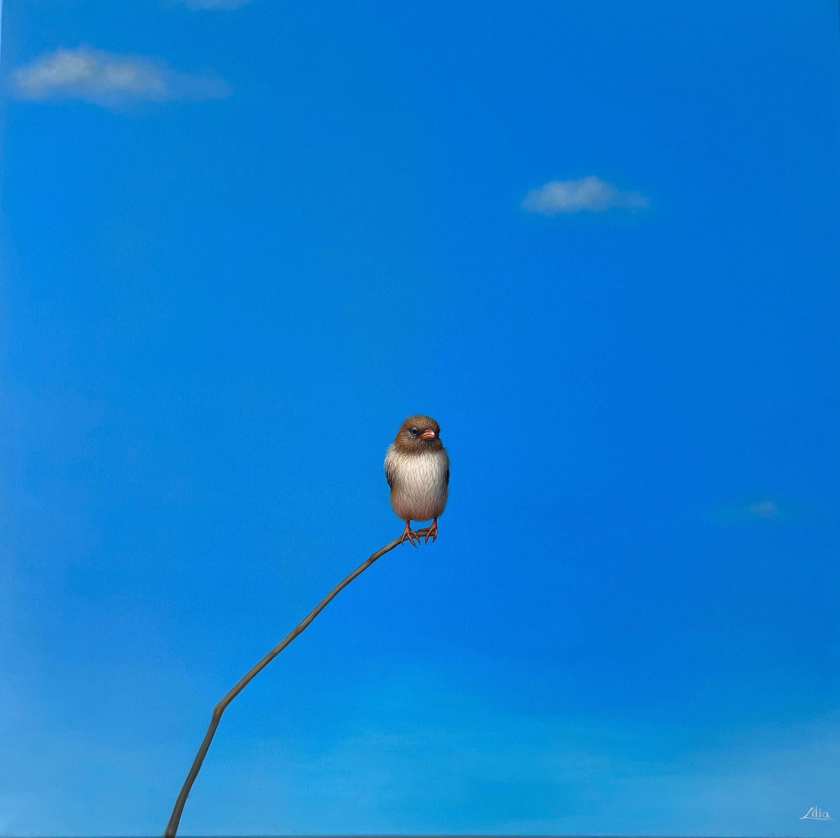 Lilia Mazurkevich - Felix - original realist bird and skyscape oil ...