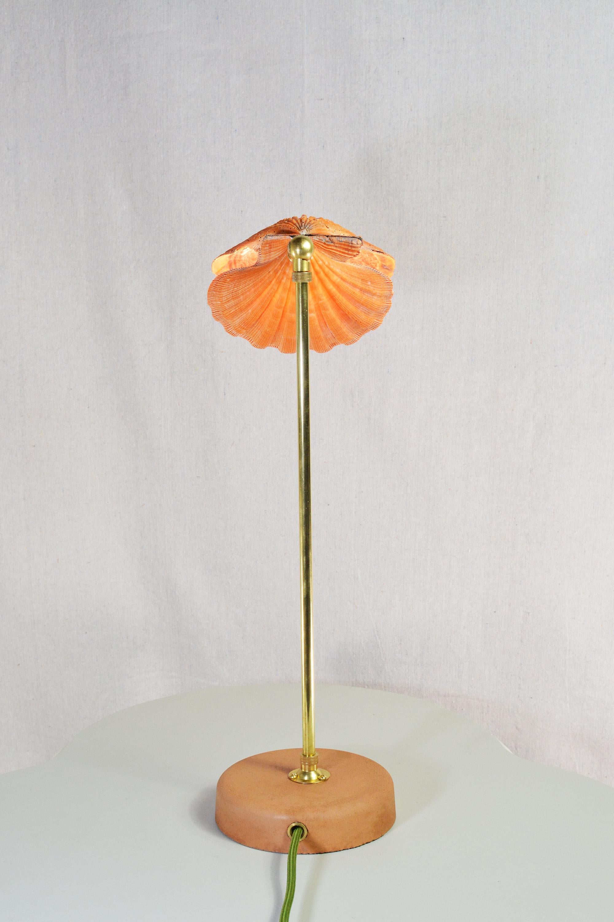 'Lion's Paw' Table Lamp in Brass and Concrete with Natural Scallop ...