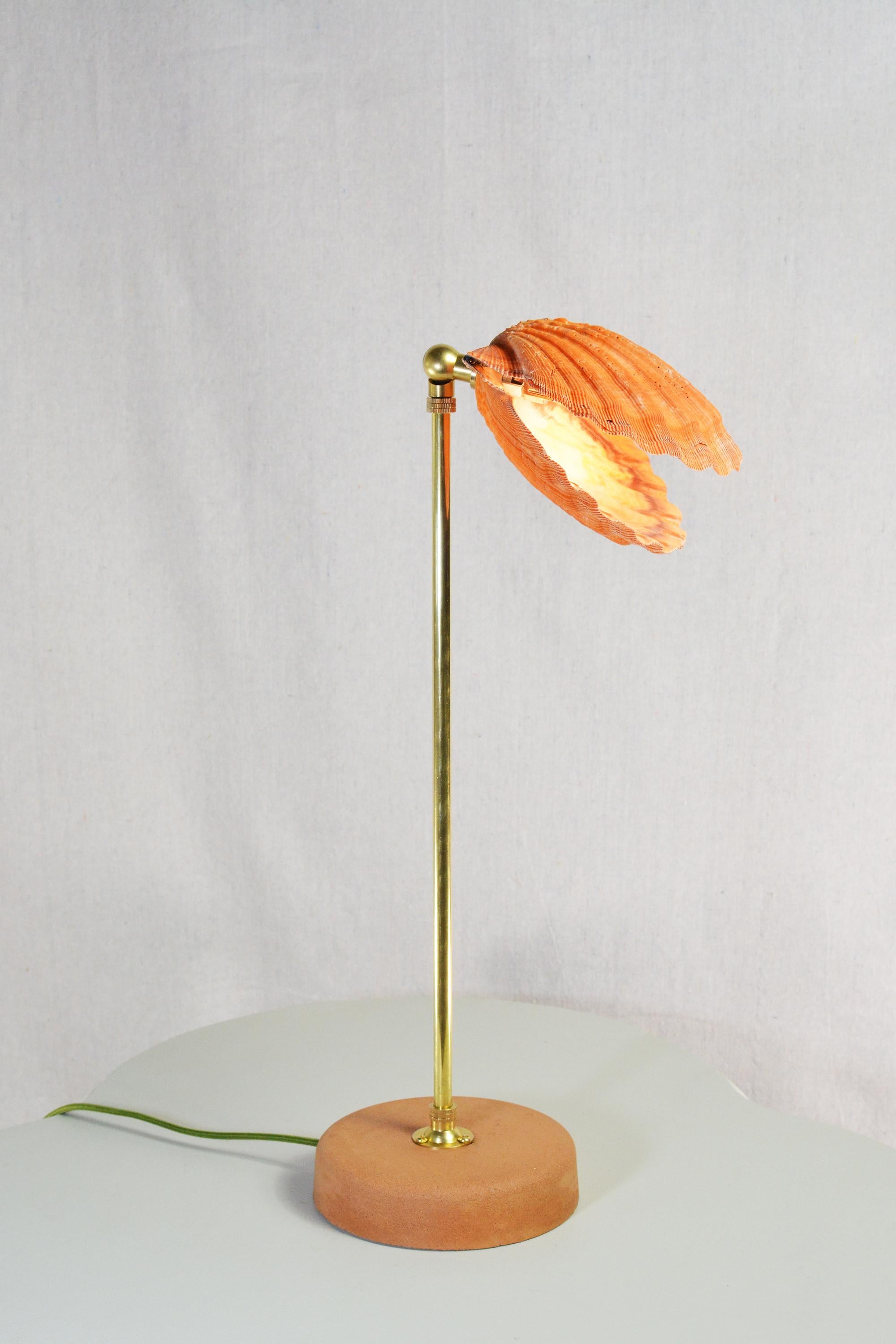 'Lion's Paw' Table Lamp in Brass and Concrete with Natural Scallop ...