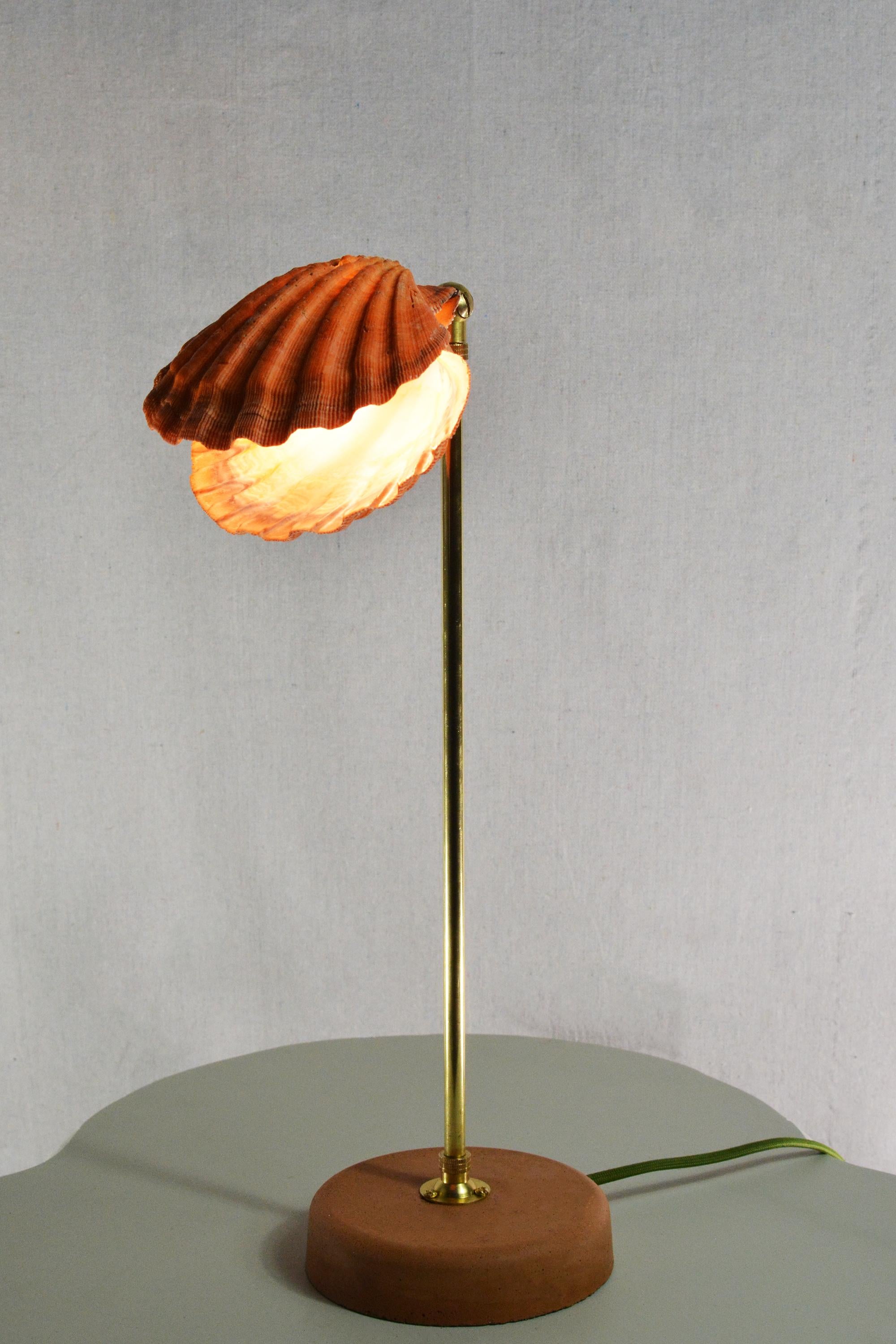 'Lion's Paw' Table Lamp in Brass and Concrete with Natural Scallop ...