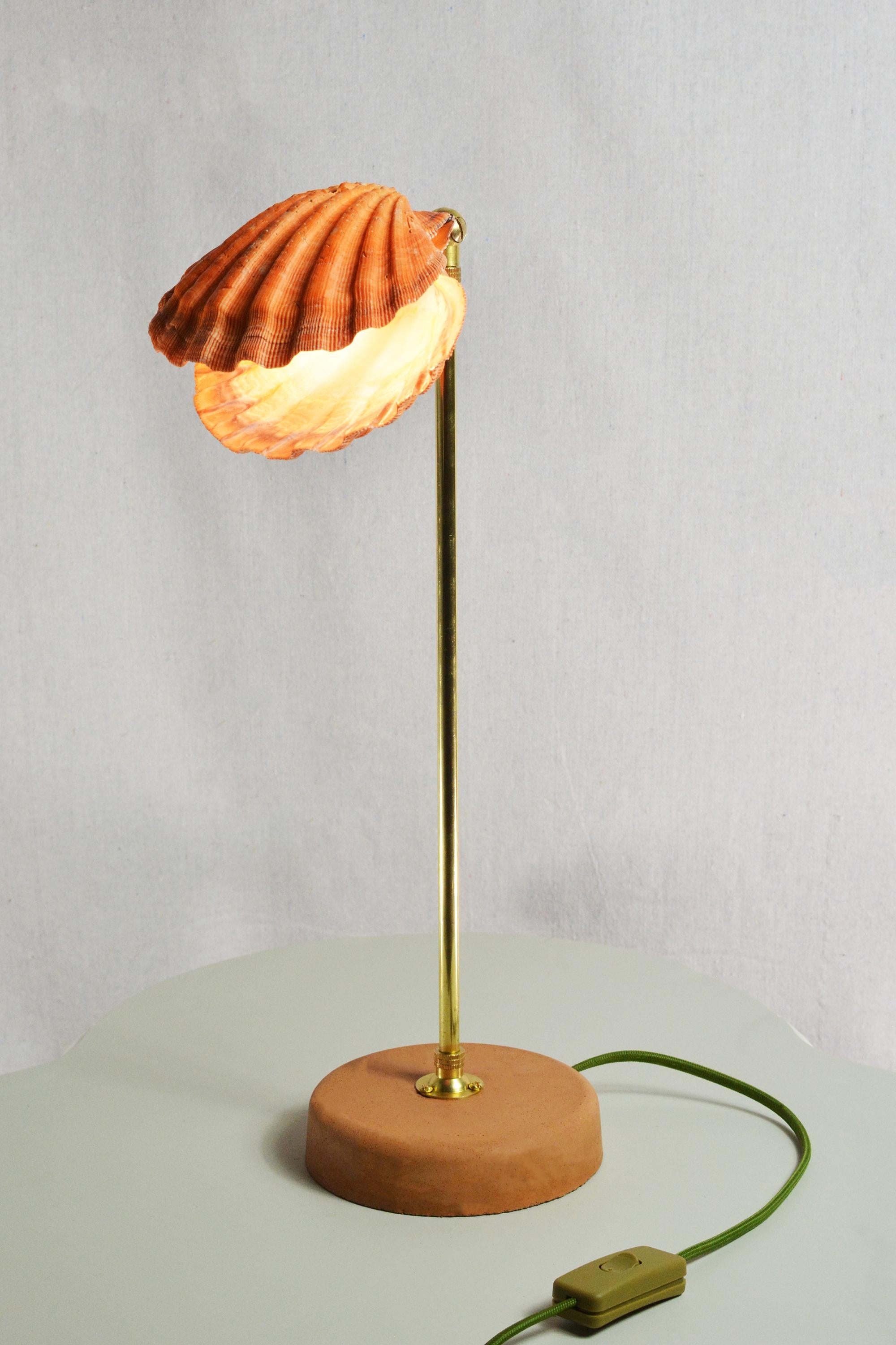 'Lion's Paw' Table Lamp in Brass and Concrete with Natural Scallop ...