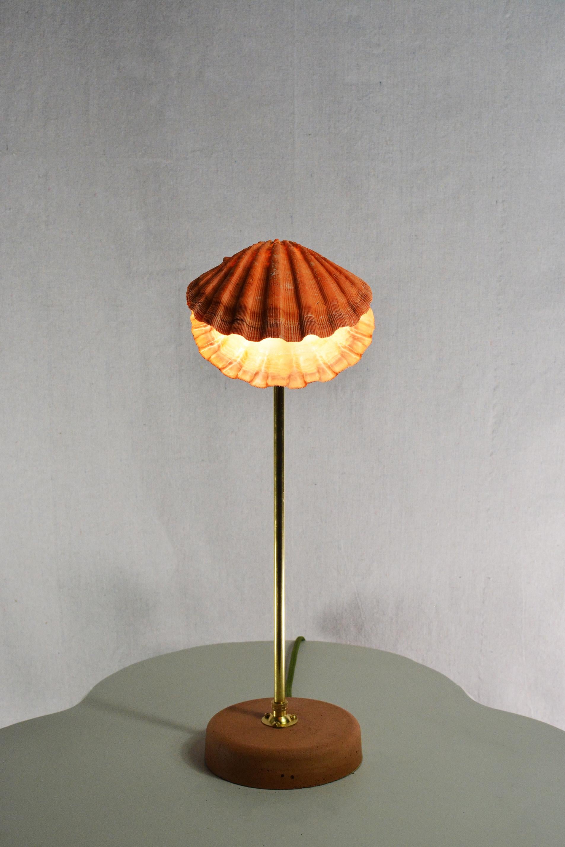 'Lion's Paw' Table Lamp in Brass and Concrete with Natural Scallop ...