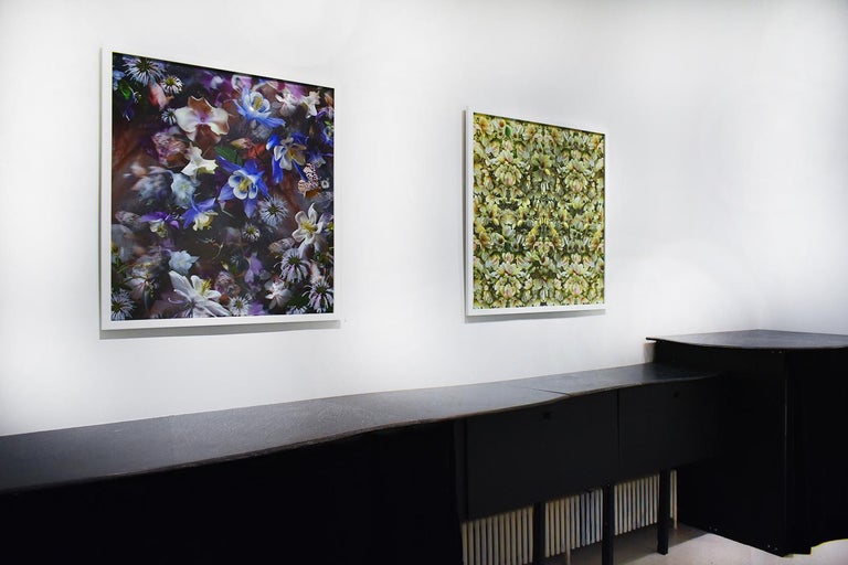 Lisa A. Frank - Columbine: The Mystery of Five (Abstracted Still Life ...