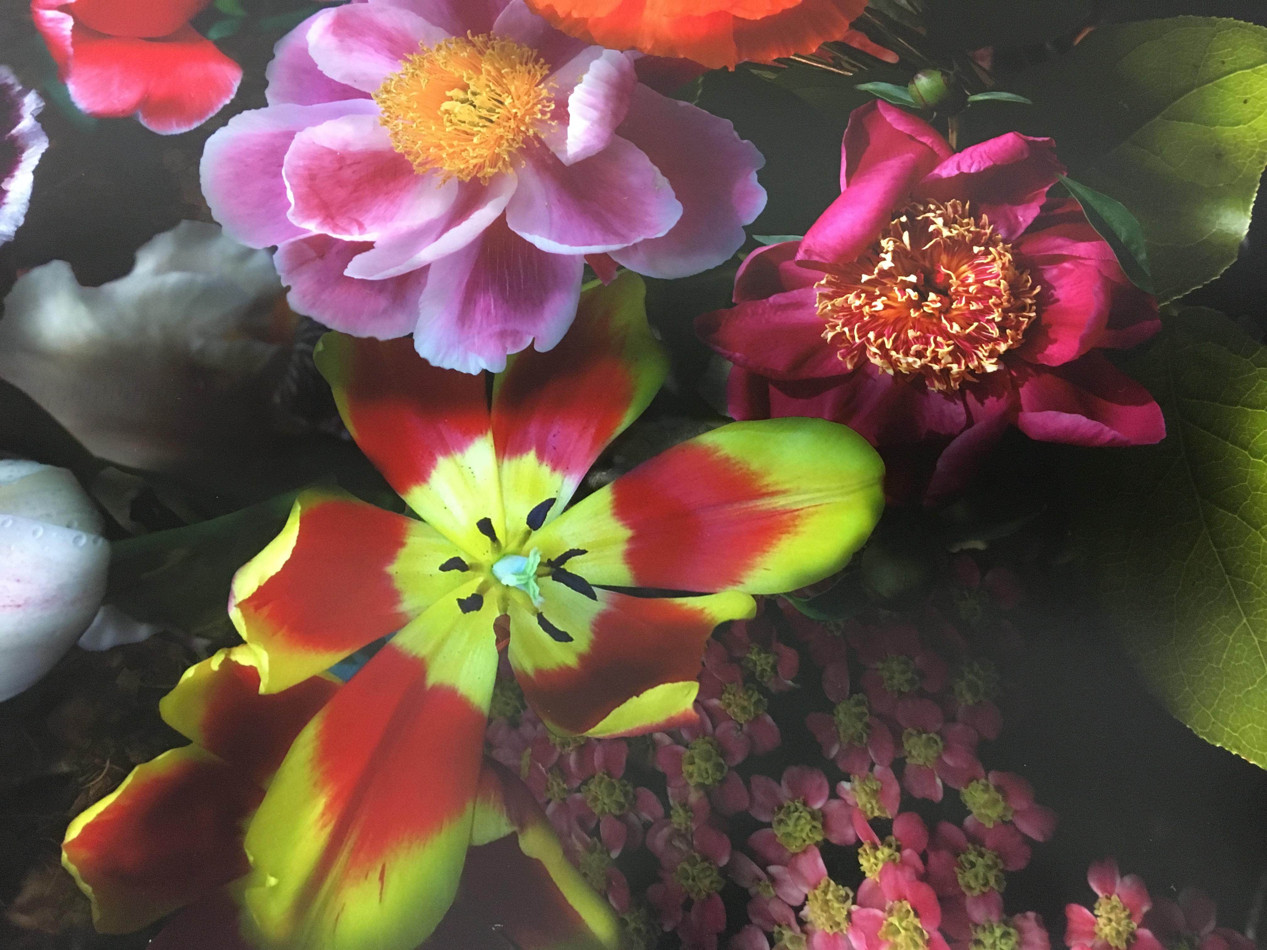 Lisa A. Frank - Still Life with Hummingbirds, Botanical Still Life ...