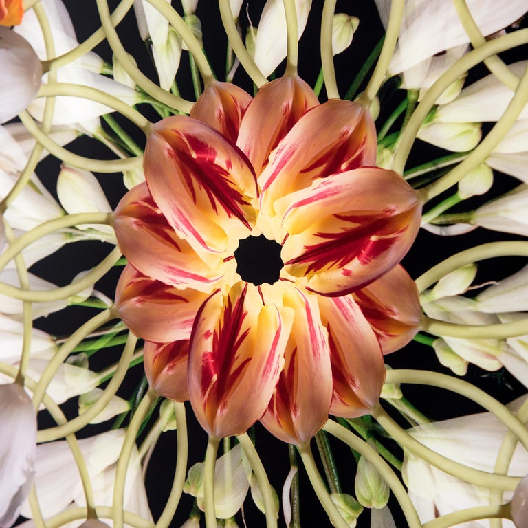 Lisa Creagh - Floriculture 1 For Sale at 1stDibs