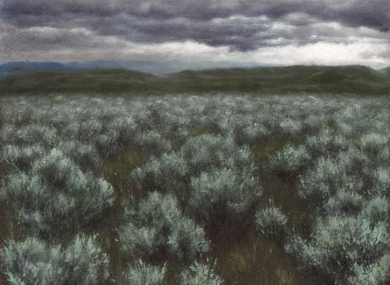 Lisa Lebofsky - Sagebrush, plein air landscape painting at 1stDibs