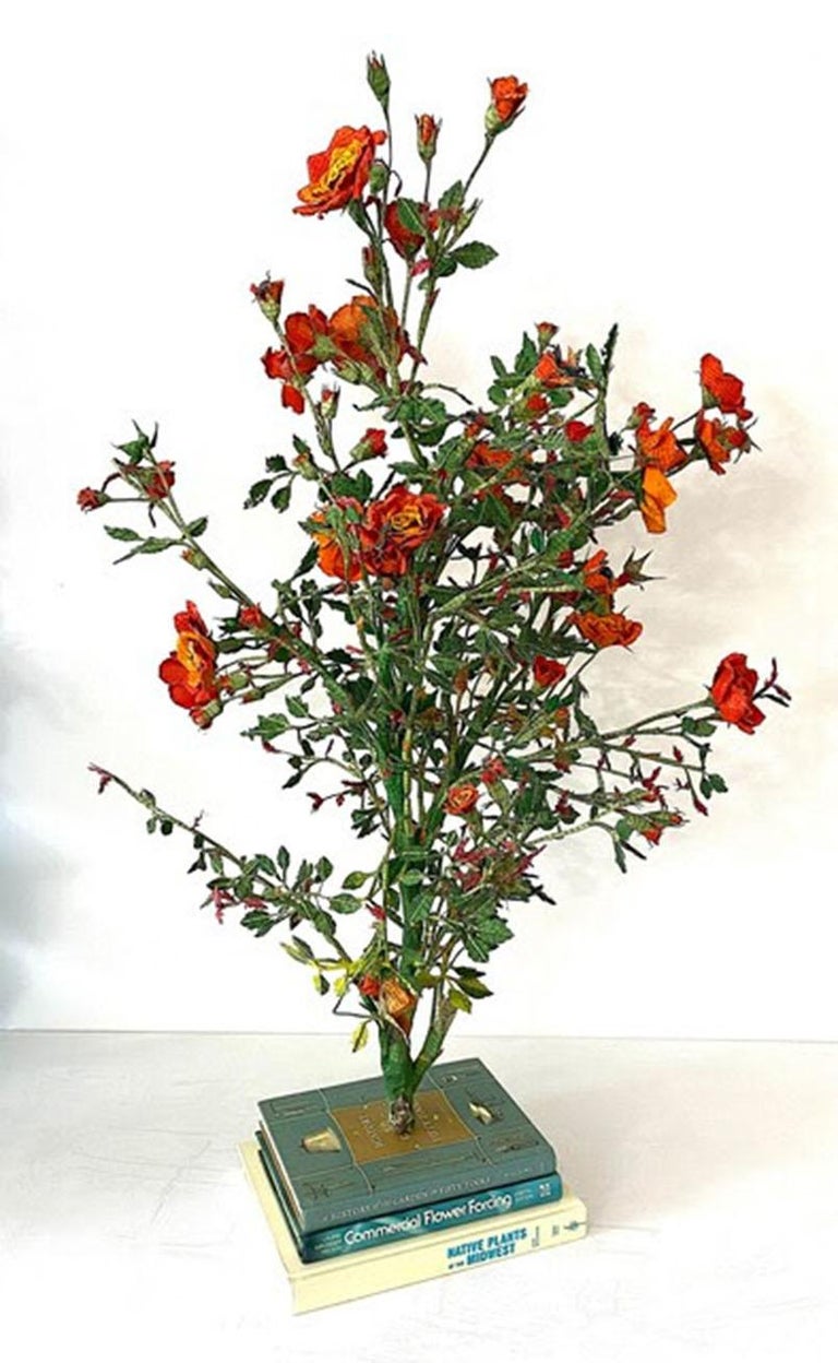 Lisa Meek - Tea Rose at 1stDibs