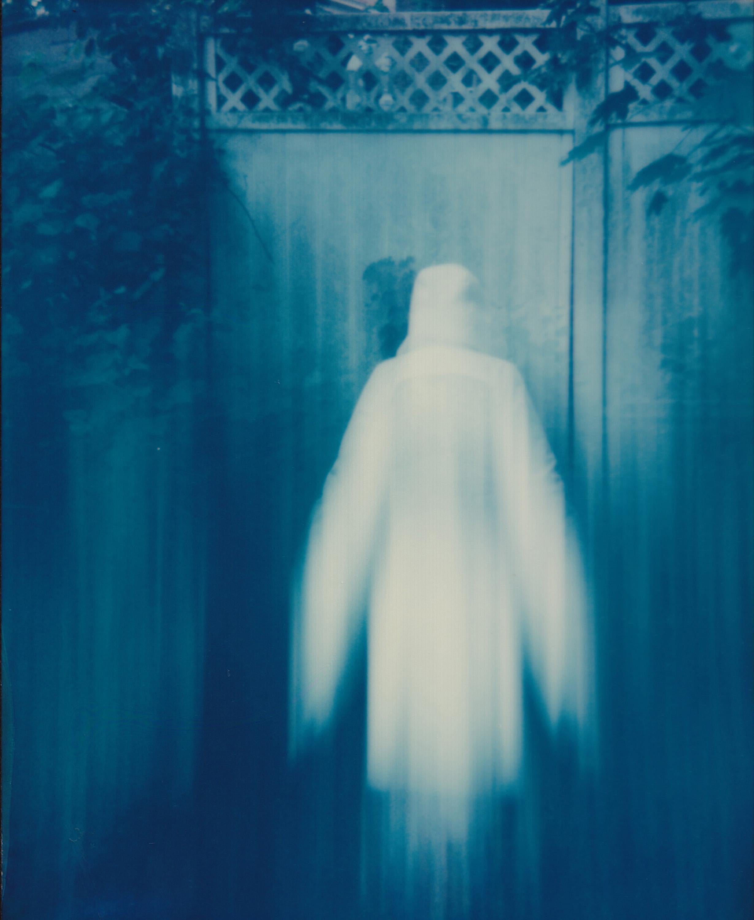 Lisa Toboz - The Dwell - Contemporary, Figurative, Woman, Polaroid ...