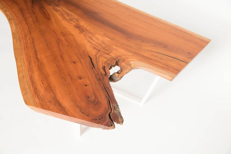 Live Edge Cherry Slab Wooden Coffee Table with Modern White Steel Base ...