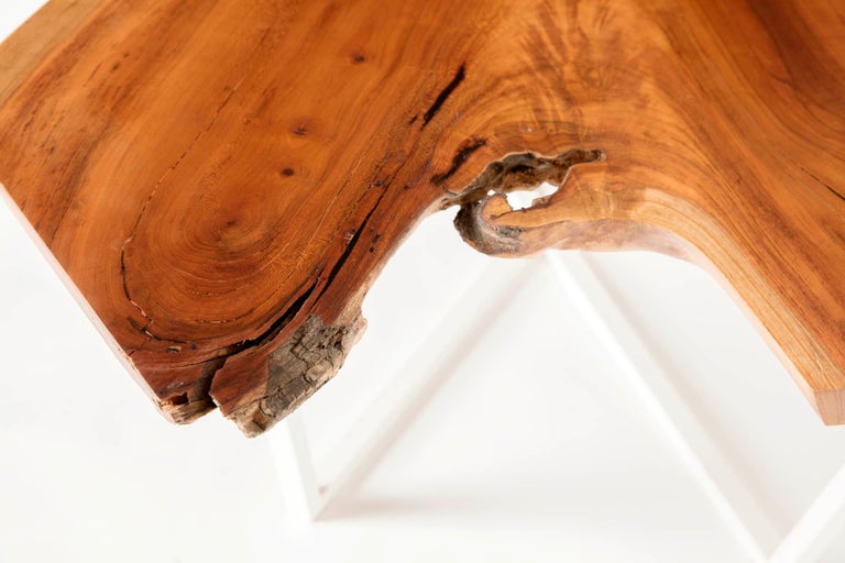 Live Edge Cherry Slab Wooden Coffee Table with Modern White Steel Base ...