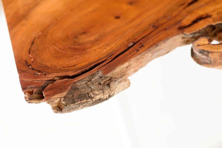 Live Edge Cherry Slab Wooden Coffee Table with Modern White Steel Base ...