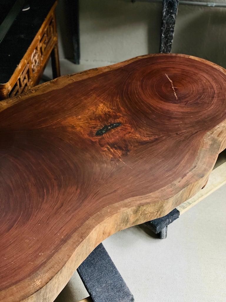 Live Edge Cocktail Table, Belgium 1960s at 1stDibs