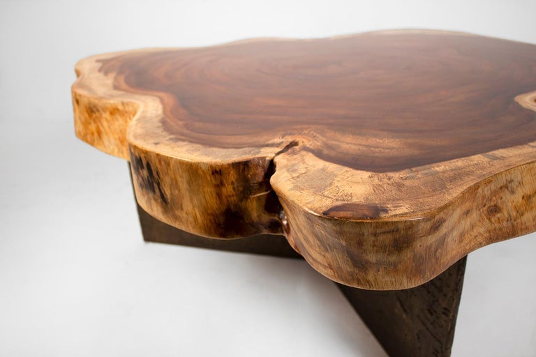Live Edge Coffee Table in Parota Wood Tree Trunk with Brutalist Bronze ...