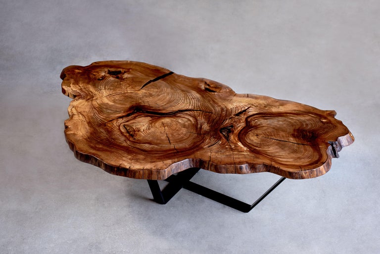 Live Edge European Elm Cookie Coffee Table For Sale at 1stDibs