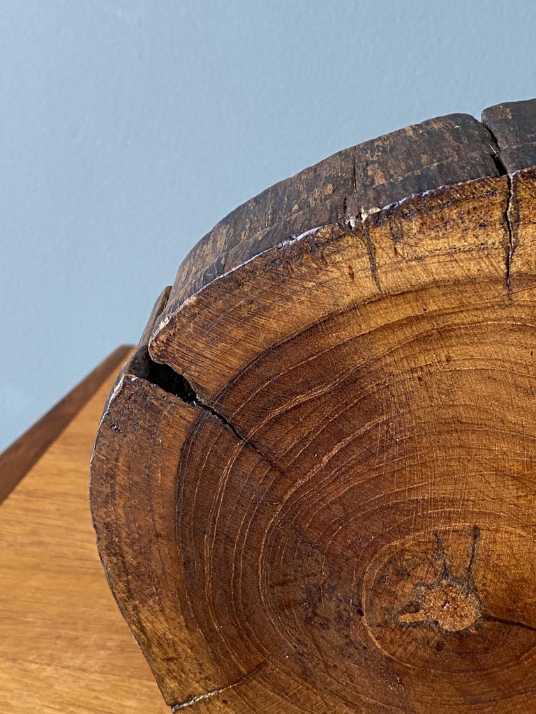 Live Edge Lidded Wood Box at 1stDibs