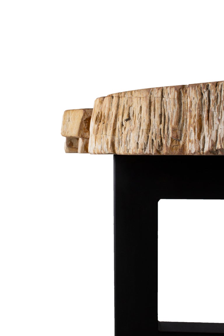 Live Edge Stone Slice Top Coffee Table with Steel Base at 1stDibs ...
