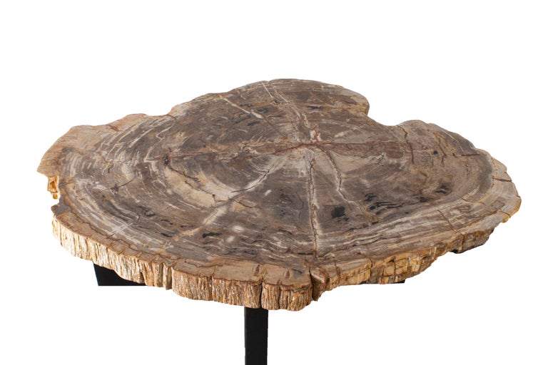 Live Edge Stone Slice Top Coffee Table with Steel Base at 1stDibs ...